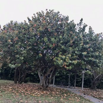 ROBERT P MURKSHE MEMORIAL PARK - Updated December 2025 - 15 Photos ...