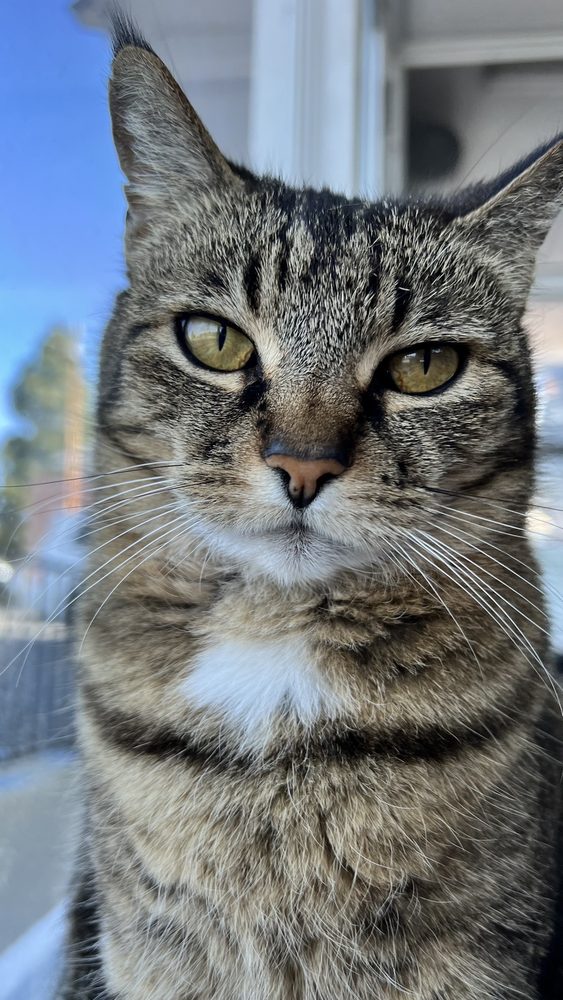 EASY SMOG - Updated November 2025 - 74 Photos & 66 Reviews - 23505 S ...