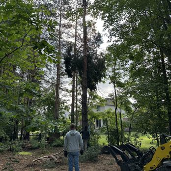TURBO TREE CARE - Updated July 2025 - 15 Photos - 6161 Cotter Ave ...