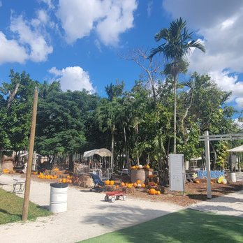 TINEZ FARMS - Updated August 2025 - 337 Photos & 63 Reviews - 16405 SW ...