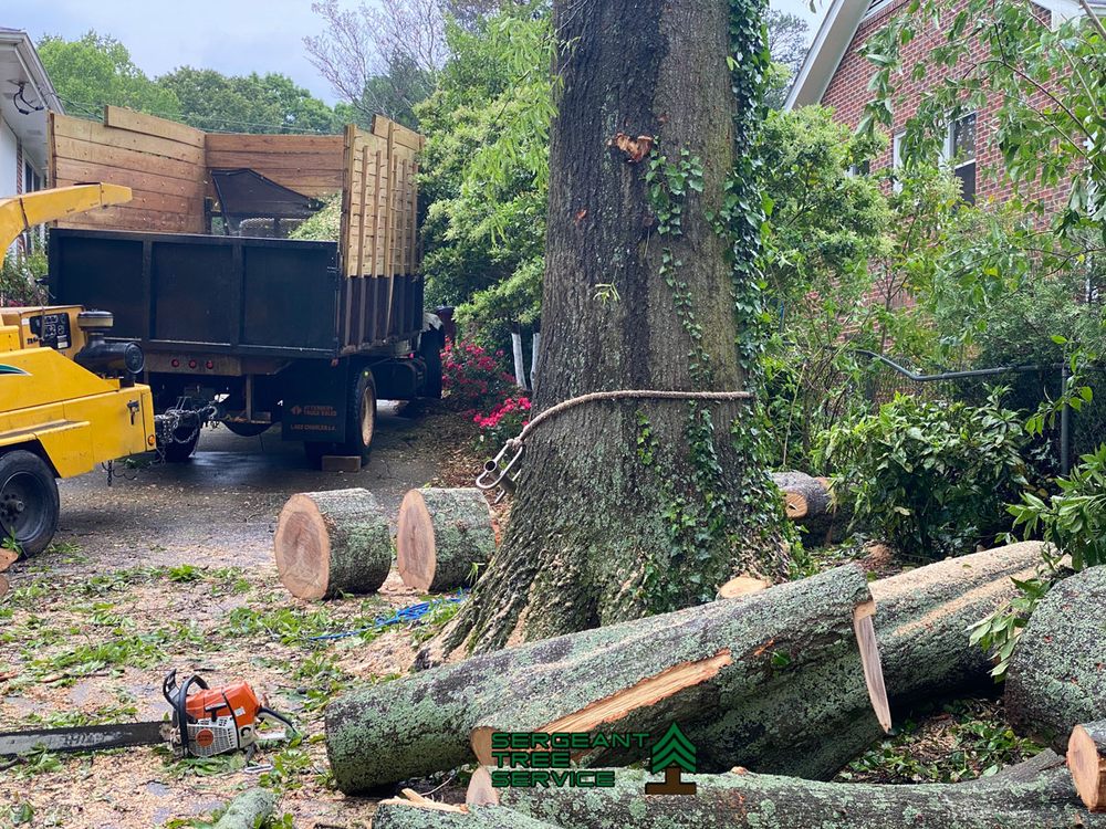 SERGEANT TREE SERVICE - Request a Quote - 3061 Oakcliff Rd, Doraville ...