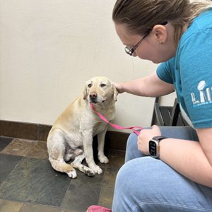 LAPD FOOTHILL COMMUNITY POLICE STATION - Updated January 2026 - 13 ...