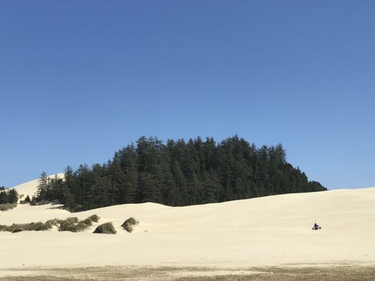 OREGON DUNES NATIONAL RECREATION AREA VISITOR CENTER - 41 Photos & 13 ...