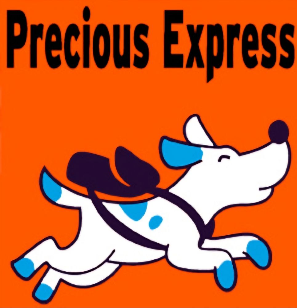PRECIOUS EXPRESS TRANSPORTATION SERVICES - Updated May 2024 - Request ...