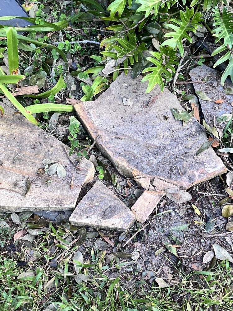 SOUTHERN TURF - Updated January 2026 - 22 Photos & 22 Reviews ...