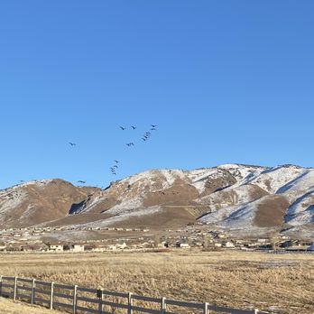 HARVEST AT DAMONTE RANCH - Updated January 2026 - 60 Photos & 36 ...