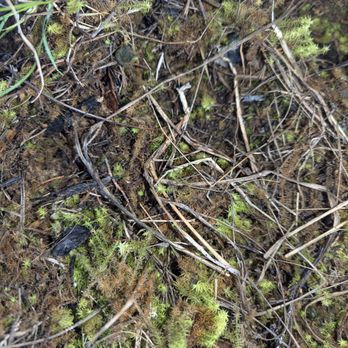 TN NURSERY - Updated May 2025 - 253 Photos & 599 Reviews - 12845 State ...