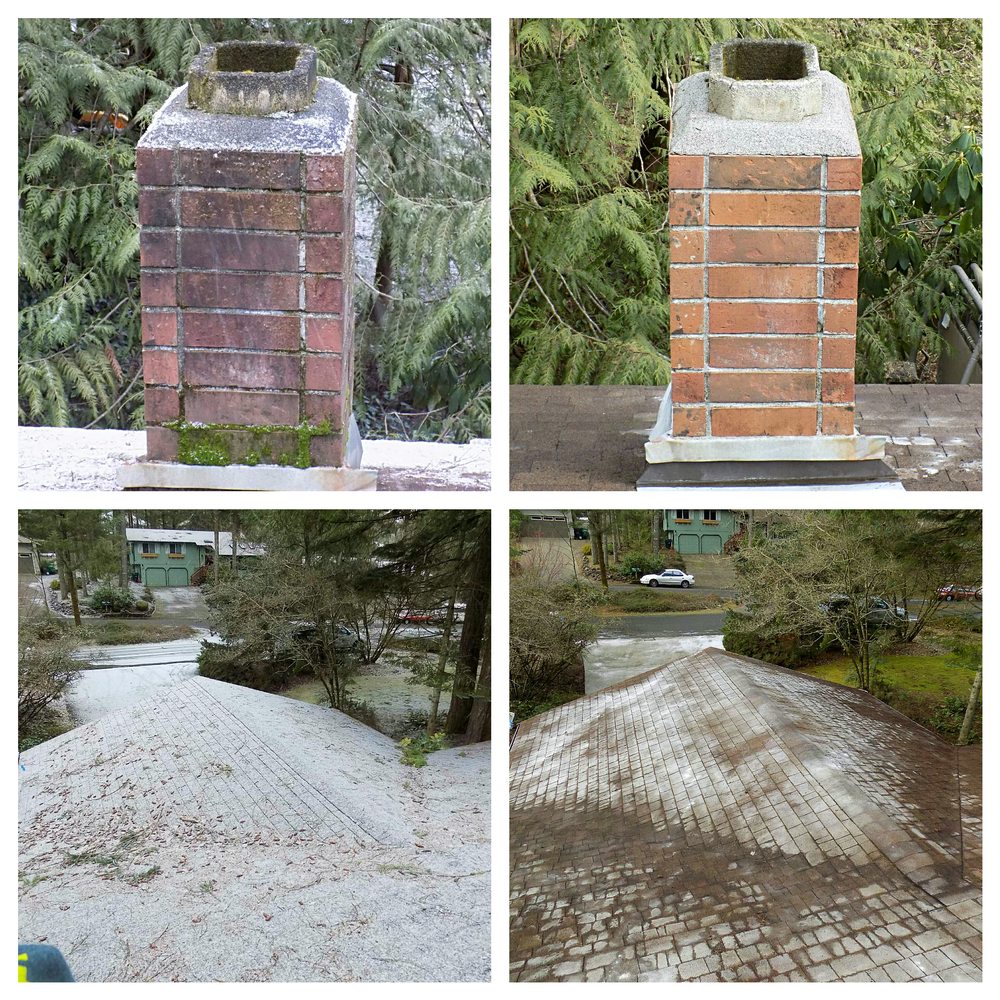 OLYMPIA SPRAY SERVICES - Updated November 2025 - 1234 Capitol Dr ...