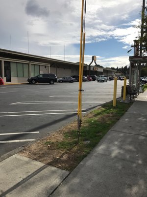 QFC - Updated November 2025 - 66 Photos & 112 Reviews - 9999 Holman Rd ...