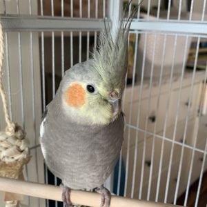 BIRDSMART - Updated September 2025 - 61 Photos & 99 Reviews - 4688 ...