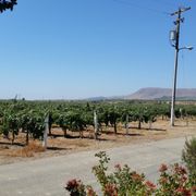 RIVERBENCH VINEYARD & WINERY - 131 Photos & 111 Reviews - 6020 Foxen ...