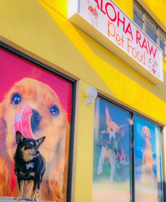 ALOHA RAW PET FOOD - Updated April 2025 - 37 Photos & 37 Reviews - 1926 ...