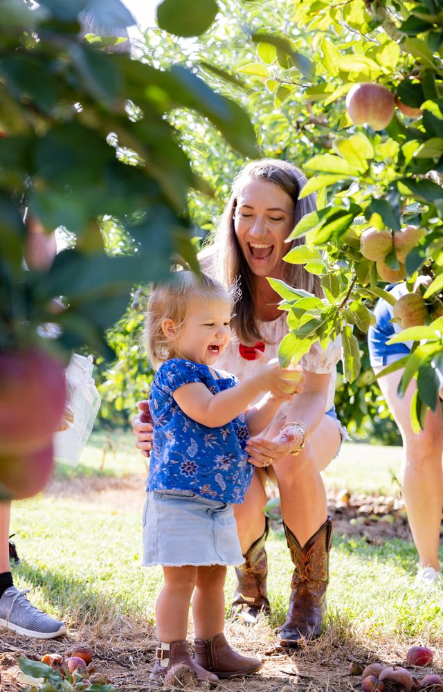 CARRIGAN FARMS - 206 Photos & 52 Reviews - 1261 Oak Ridge Farm Hwy ...