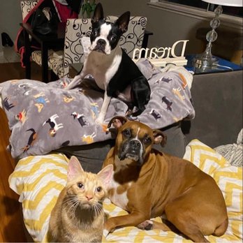 FRANKLIN RANCH PET HOSPITAL AND HOTEL - Updated October 2025 - 149 ...