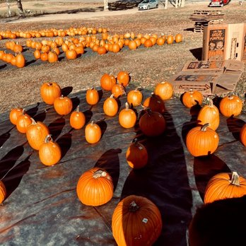 ROCKY RIDGE ORCHARD - Updated November 2025 - 50 Photos & 28 Reviews ...