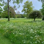 THE ODNEY CLUB - 36 Photos - Odney Lane, Cookham, Windsor and ...