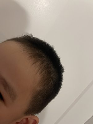 KIDS KOOL CUTS - Updated September 2025 - 26 Photos & 27 Reviews - 1423 ...