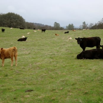 SPENCEVILLE WILDLIFE AREA - Updated December 2025 - 70 Photos & 21 ...