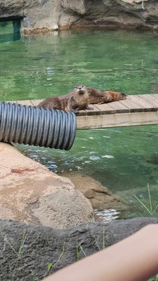 ALEXANDRIA ZOOLOGICAL PARK - Updated October 2025 - 94 Photos & 39 ...