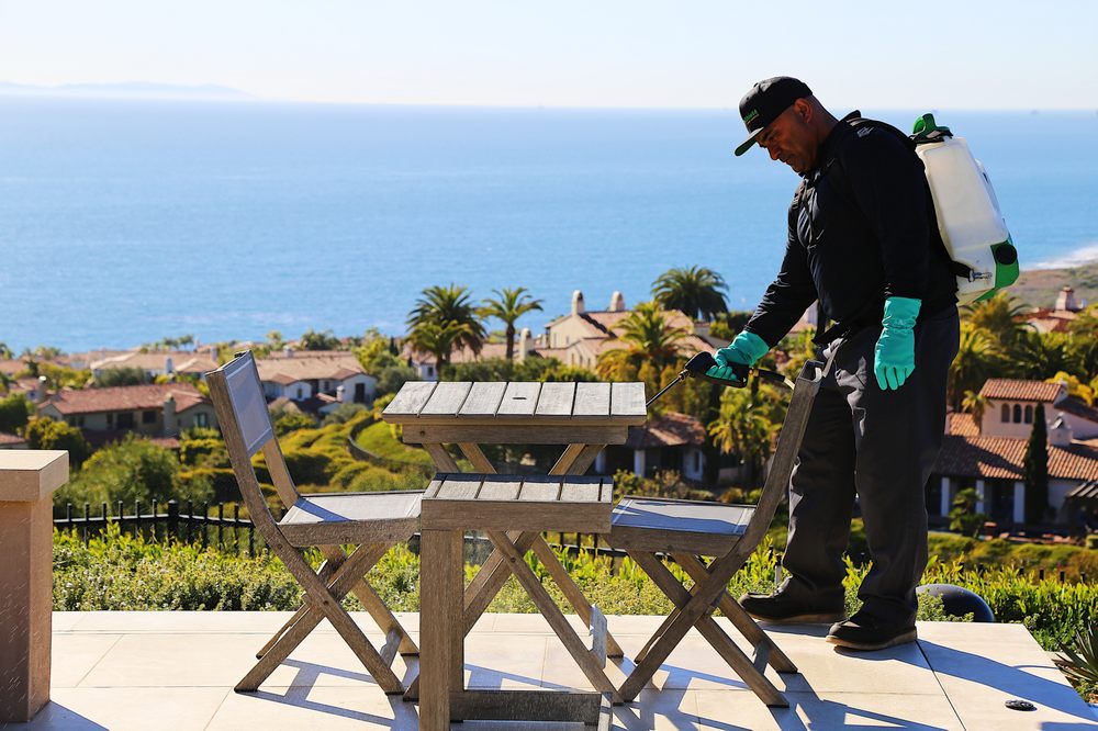 HOMESHIELD PEST CONTROL - Updated April 2025 - 134 Photos & 14 Reviews ...