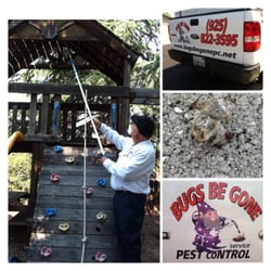 BUGS BE GONE PEST CONTROL SERVICE - 14 Photos & 62 Reviews - Walnut ...