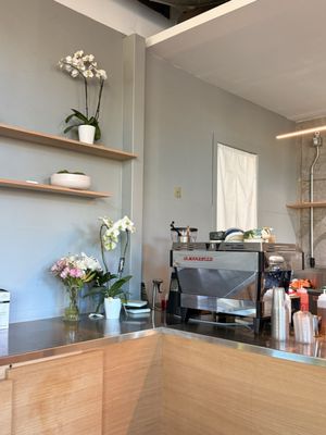 PROJECT MATCHA - Updated October 2025 - 211 Photos & 114 Reviews - 555 ...