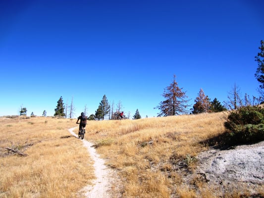 MT. PACIFICO CAMPGROUND - Updated January 2026 - 36 Photos - California ...