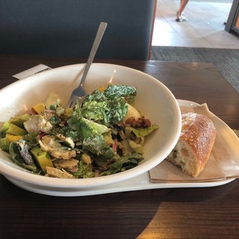 PANERA BREAD - Updated December 2024 - 104 Photos & 206 Reviews - 15716 ...