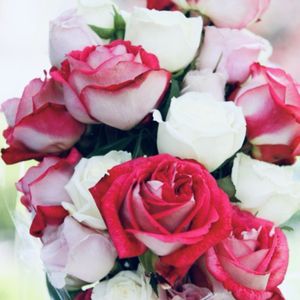 ZEZE FLOWERS - Updated October 2025 - 13 Reviews - 938 1st Ave, New ...