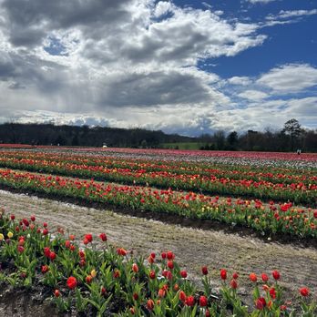 BURNSIDE FARMS - NOKESVILLE - Updated January 2026 - 509 Photos & 109 ...