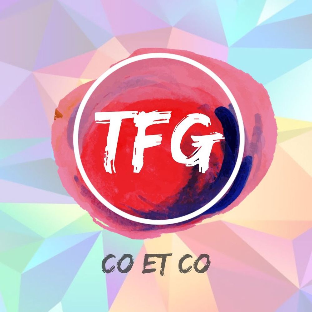 TFG CO ET CO - Updated June 2024 - 3 rue des ruisseaux, Teting-sur-Nied ...