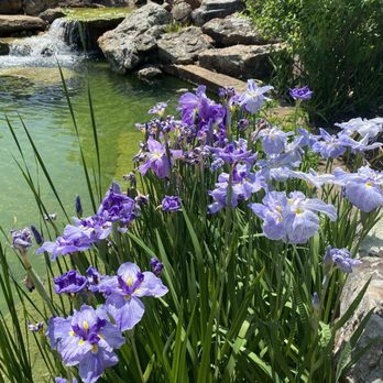 TULSA BOTANIC GARDEN - Updated December 2025 - 235 Photos & 38 Reviews ...