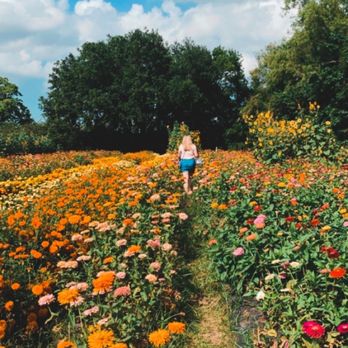 ATKINSON FARM - Updated September 2024 - 155 Photos & 64 Reviews - 3217 ...