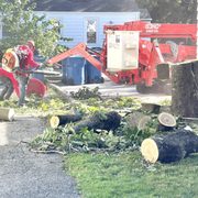 SMITTY’S TREE SERVICE - 71 Photos & 45 Reviews - 12736 S Ridgeway Ave ...