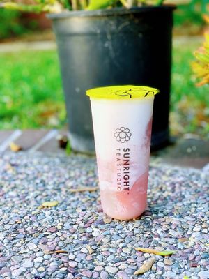 SUNRIGHT TEA STUDIO - SUNNYVALE - 1199 Photos & 638 Reviews - 795 E El ...