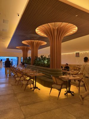 ATIK RESTAURANT - Updated July 2025 - 36 Photos & 11 Reviews - 555 City ...