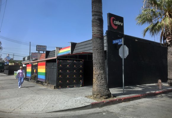 CLUB COBRA - 60 Photos & 107 Reviews - 10937 Burbank Blvd, North ...