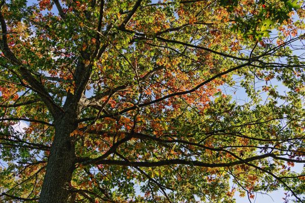 BEVIER PARK - Updated October 2025 - 60 Photos - 2255 Wt Yorkhouse Rd ...