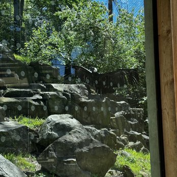 BRANDYWINE ZOO - Updated September 2025 - 178 Photos & 71 Reviews ...