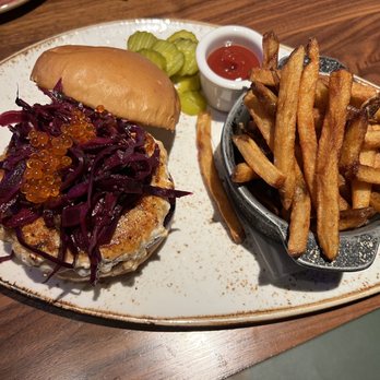 THE BLUE DOG COOKHOUSE AND BAR - 355 Photos & 155 Reviews - 6000 Glades ...