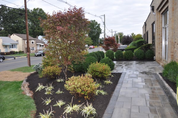 LANDSCAPE SOLUTIONS - Updated June 2025 - 33 Photos - 220 Delaware Ave ...