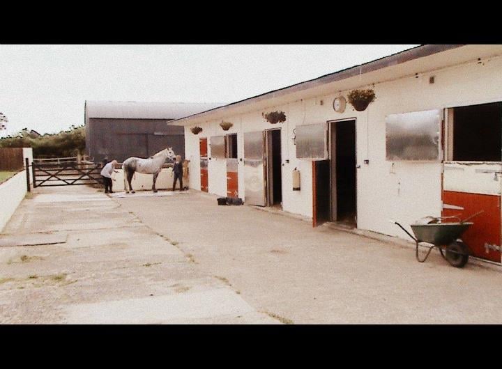 FOXHILL FARM LIVERY STABLES - Updated April 2024 - 6 Beechmount Road ...