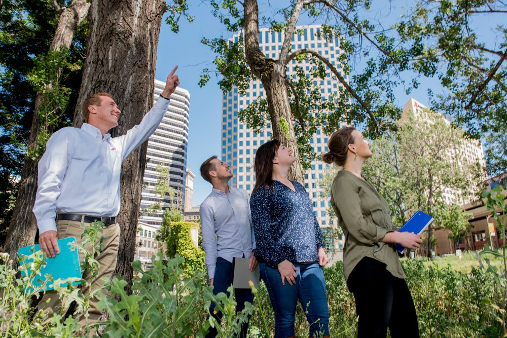 ARBORWELL - Updated September 2025 - 12 Photos - Bothell, Washington ...