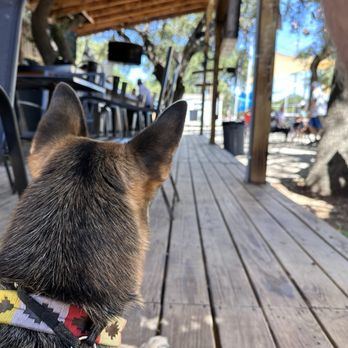 NAMELESS SALOON - Updated January 2026 - 82 Photos & 27 Reviews - 23296 ...