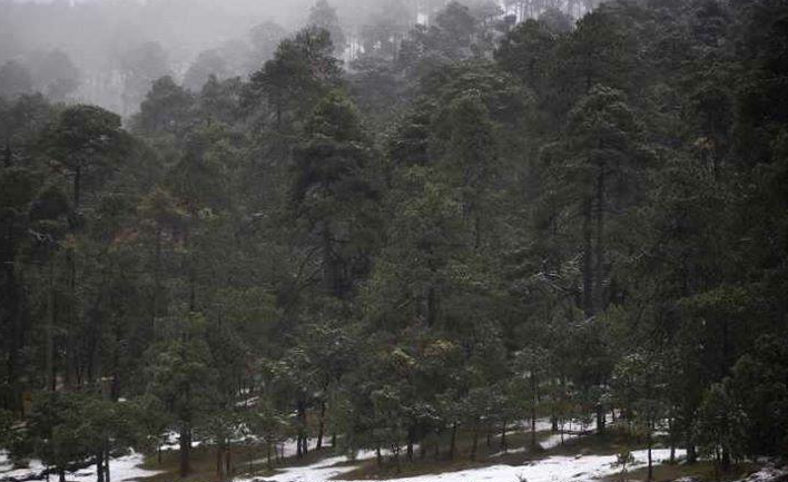 PARQUE NACIONAL CUMBRES DEL AJUSCO - Ajusco, México, D.F., Mexico ...