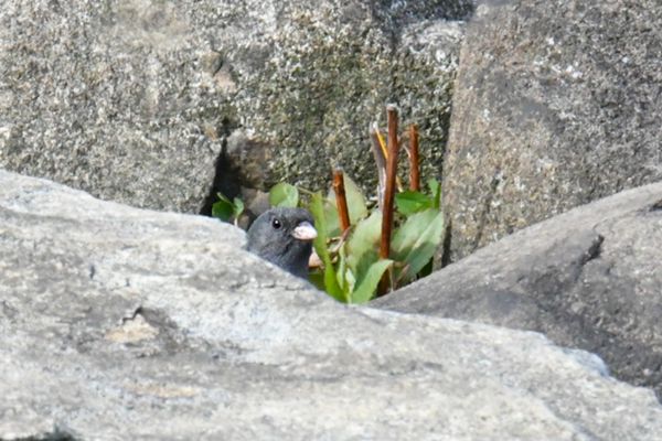PALISADES INTERSTATE PARK STATE LINE LOOKOUT - 324 Photos & 58 Reviews ...