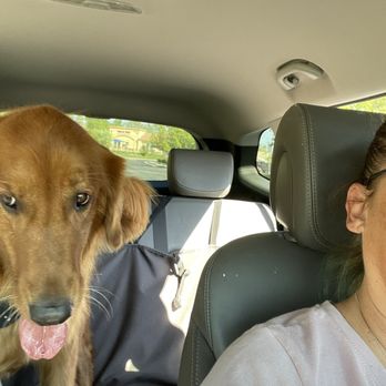 GRUBBY DOGS - Updated November 2024 - 108 Photos & 183 Reviews - 26612 ...