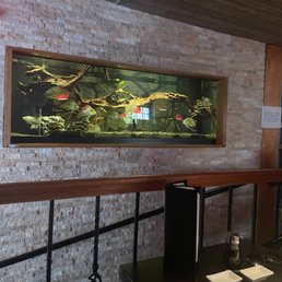 TOMO 68 - Updated December 2025 - 200 Photos & 143 Reviews - 174 ...