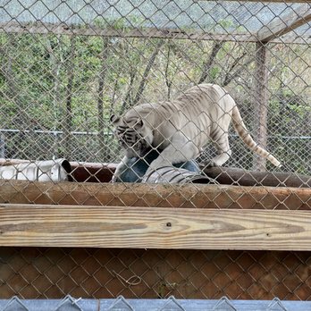 OCTAGON WILDLIFE SANCTUARY - Updated October 2025 - 213 Photos & 45 ...