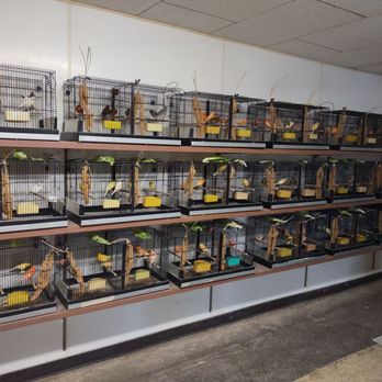 MAGNOLIA BIRD FARM - Updated August 2025 - 153 Photos & 198 Reviews ...